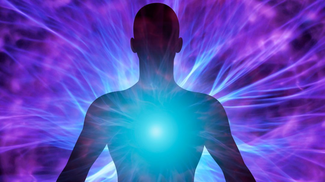 Our Bodies Are The Temple - Fitness Revelation